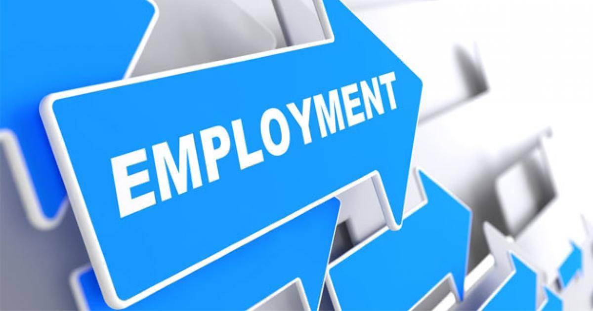 MOM: Singapore's Q3 Total Employment Grew But Job Market Momentum Slows ...
